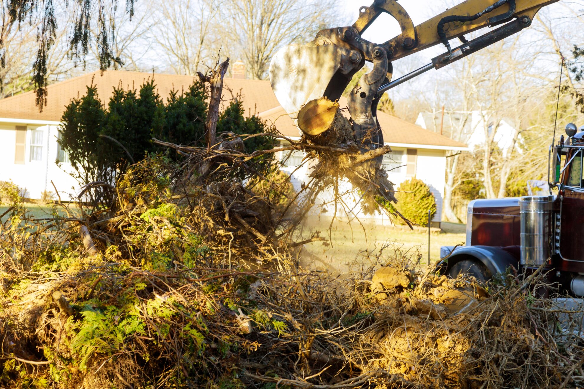 Tree Service - Jeremy Tree Services Landscaping LLC in Kentucky